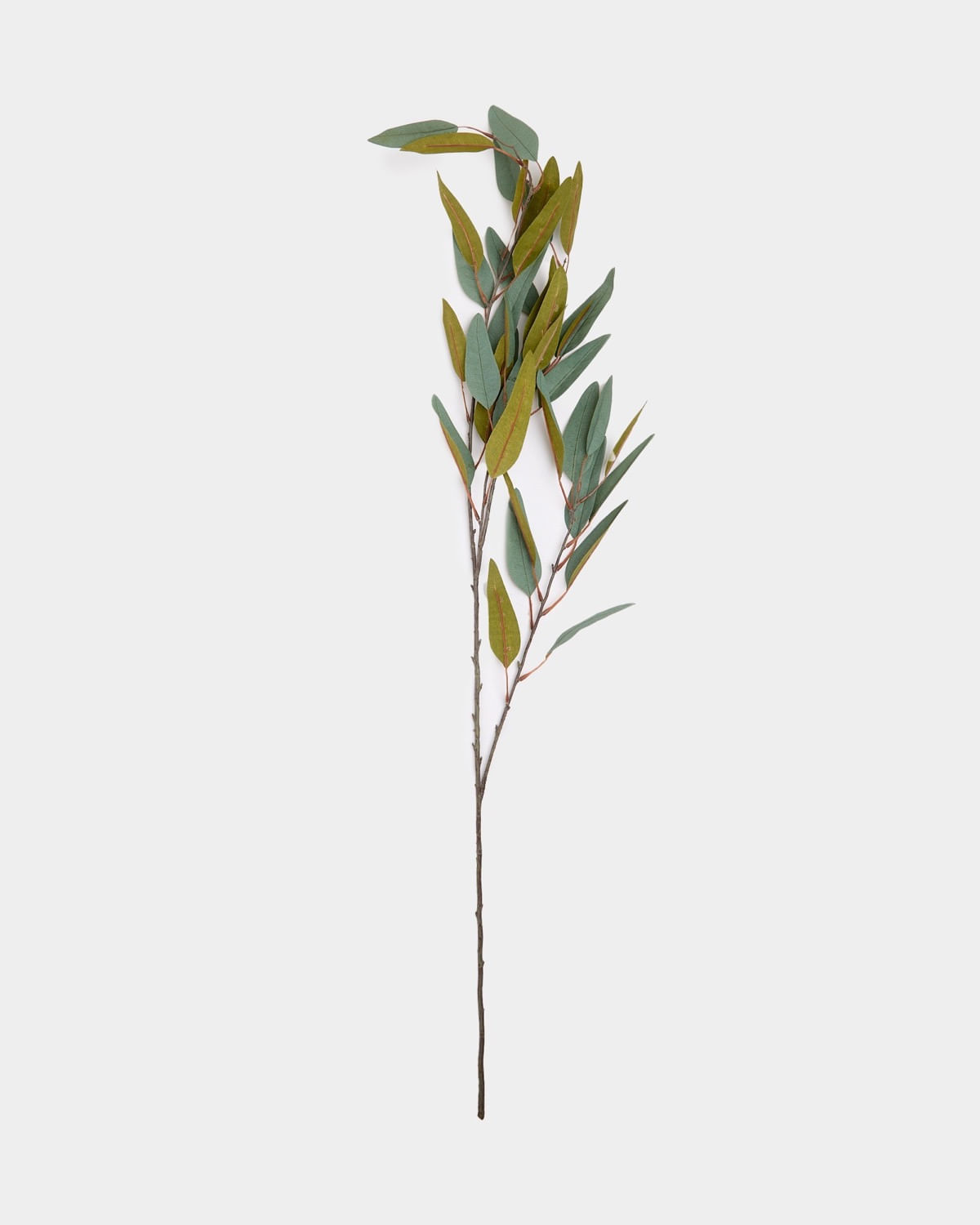 Leaf Foliage Stem - Dunnes Stores