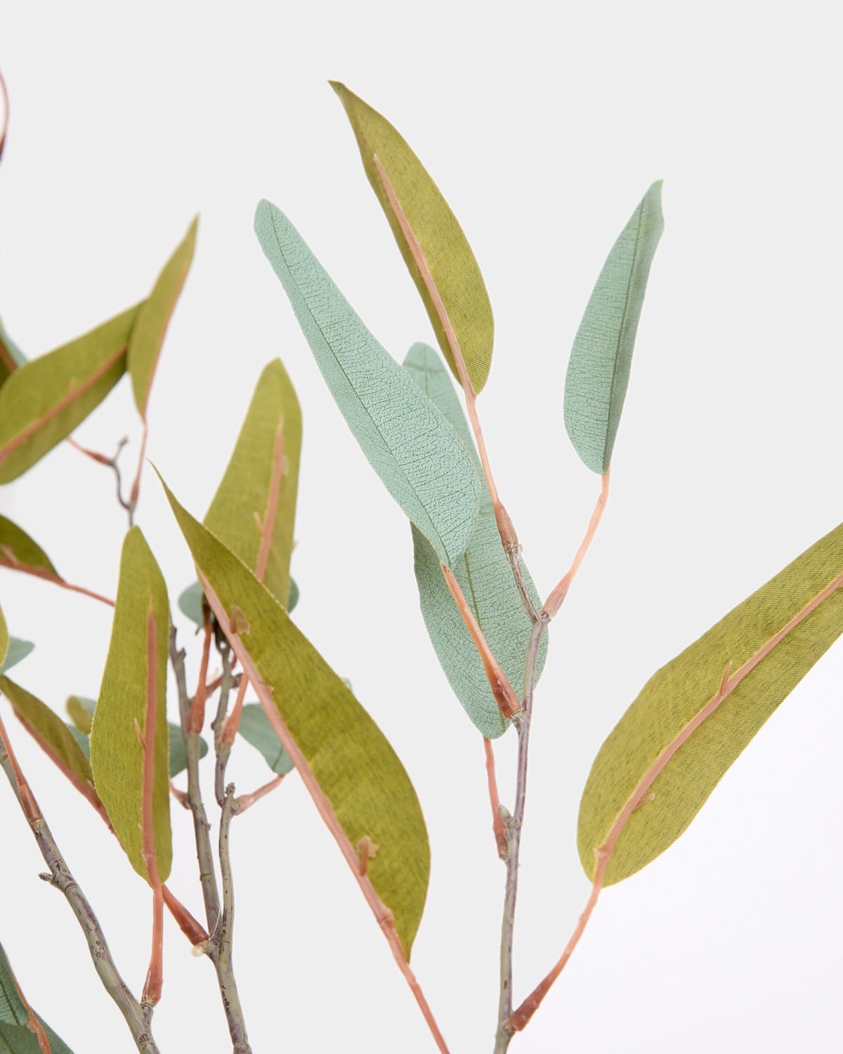Leaf Foliage Stem - Dunnes Stores