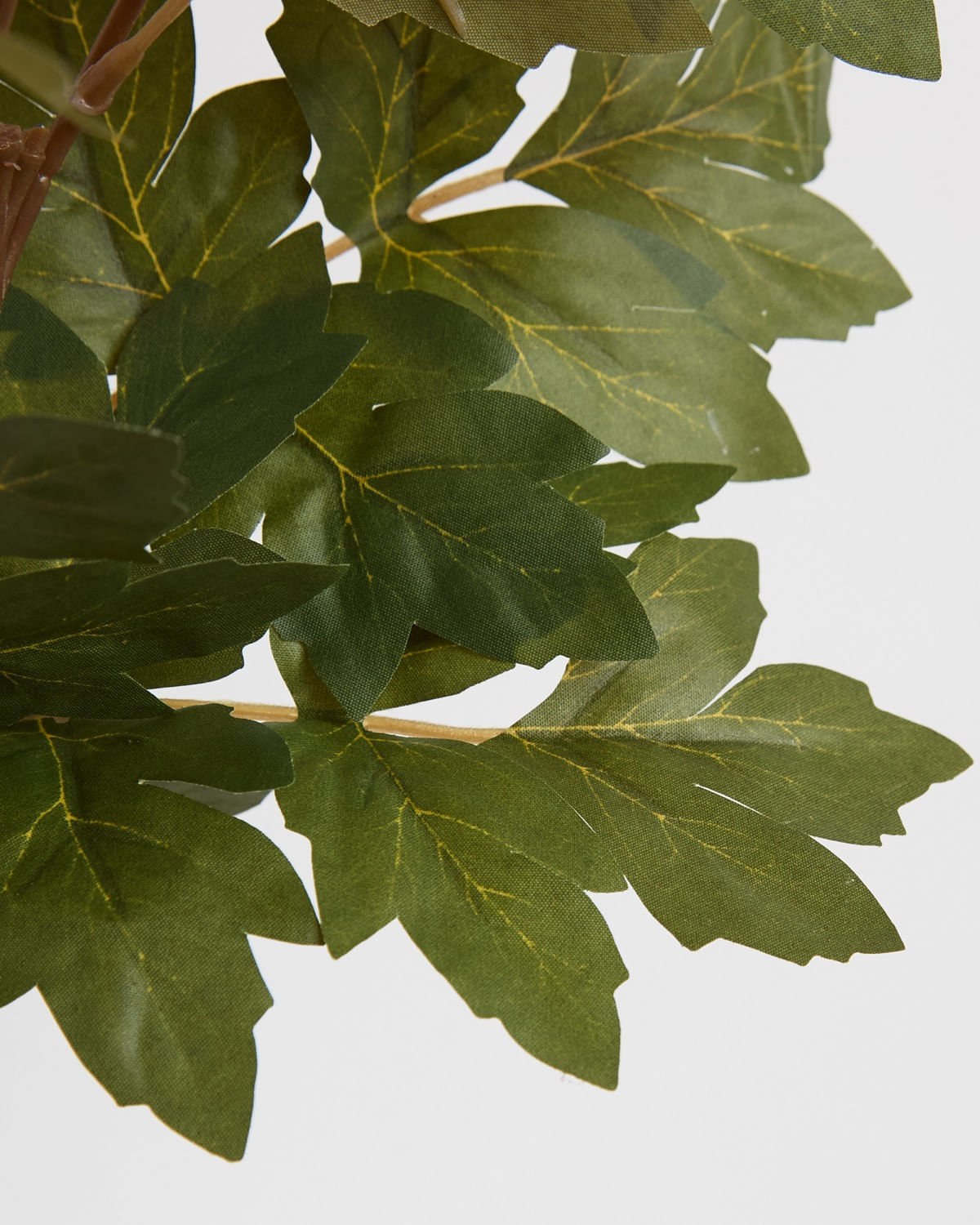 Peony Spray - Dunnes Stores