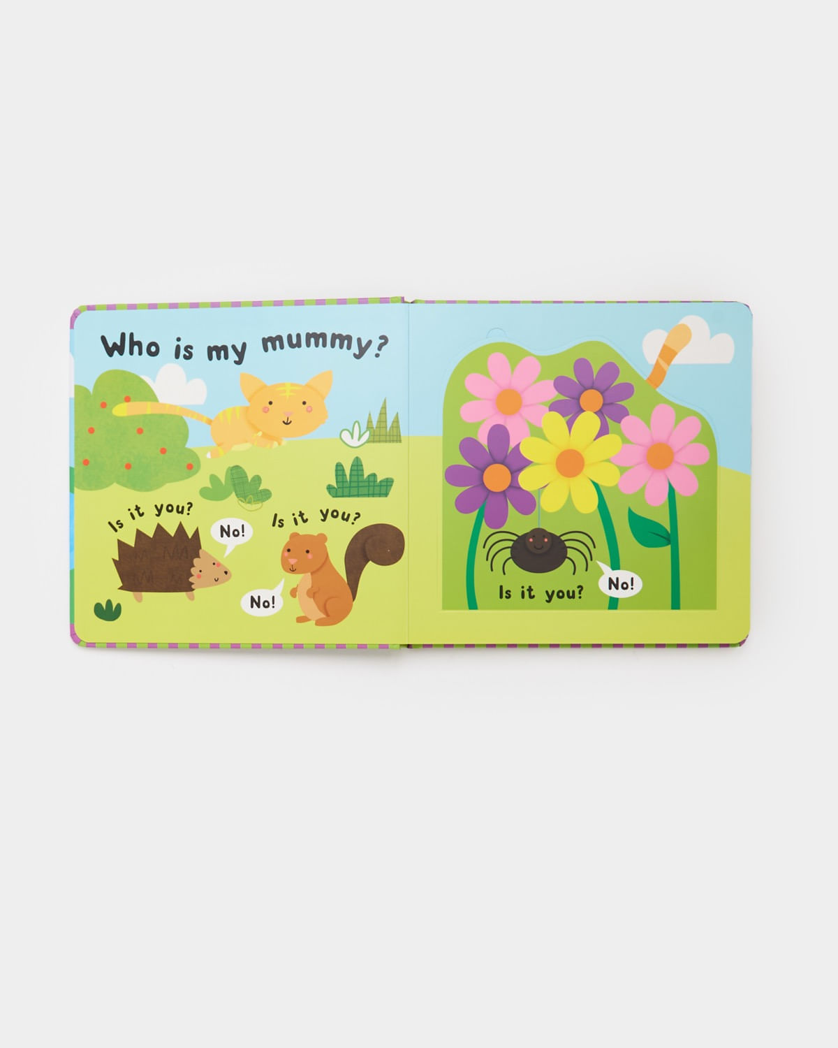 Hide And Seek Book - Dunnes Stores