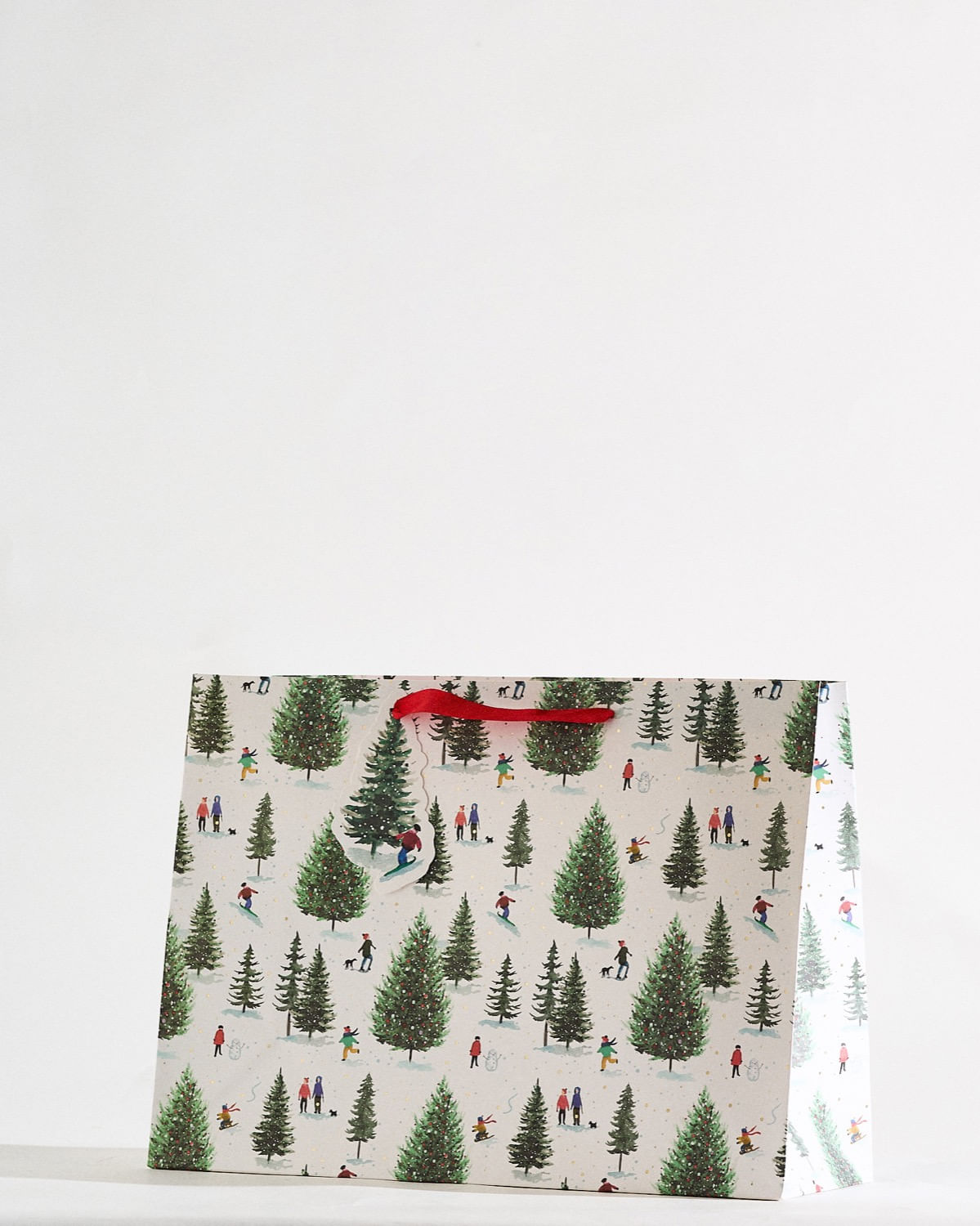 Large Ski Scene Christmas Gift Bag - Dunnes Stores