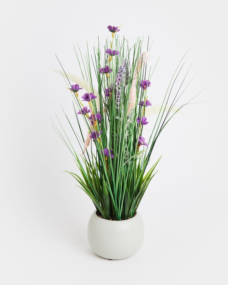 Floral Grass Plant - Dunnes Stores
